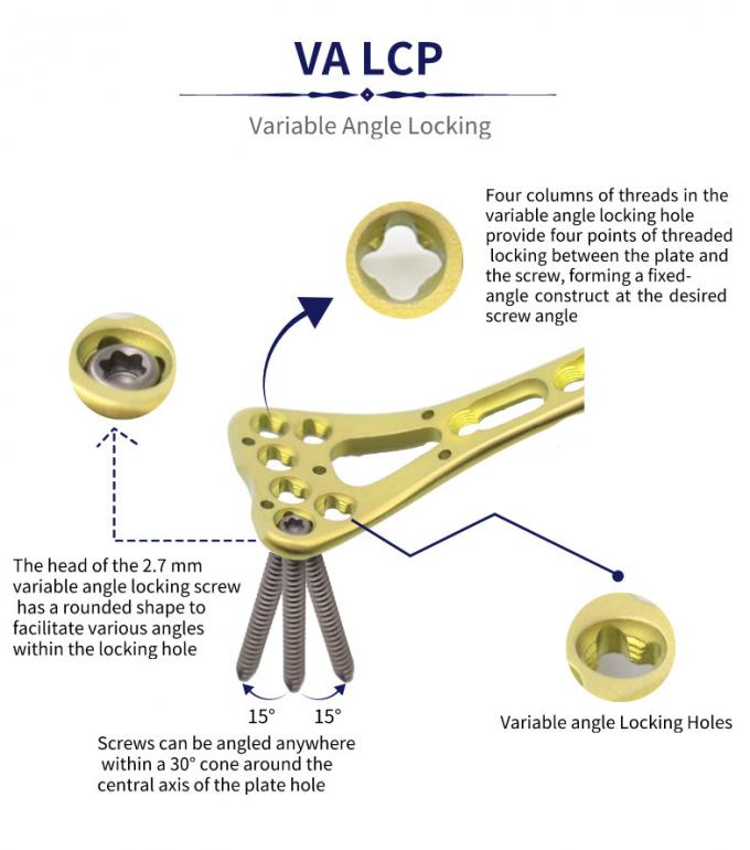 Class II Multi Axial Distal Variable Angle Locking Plate